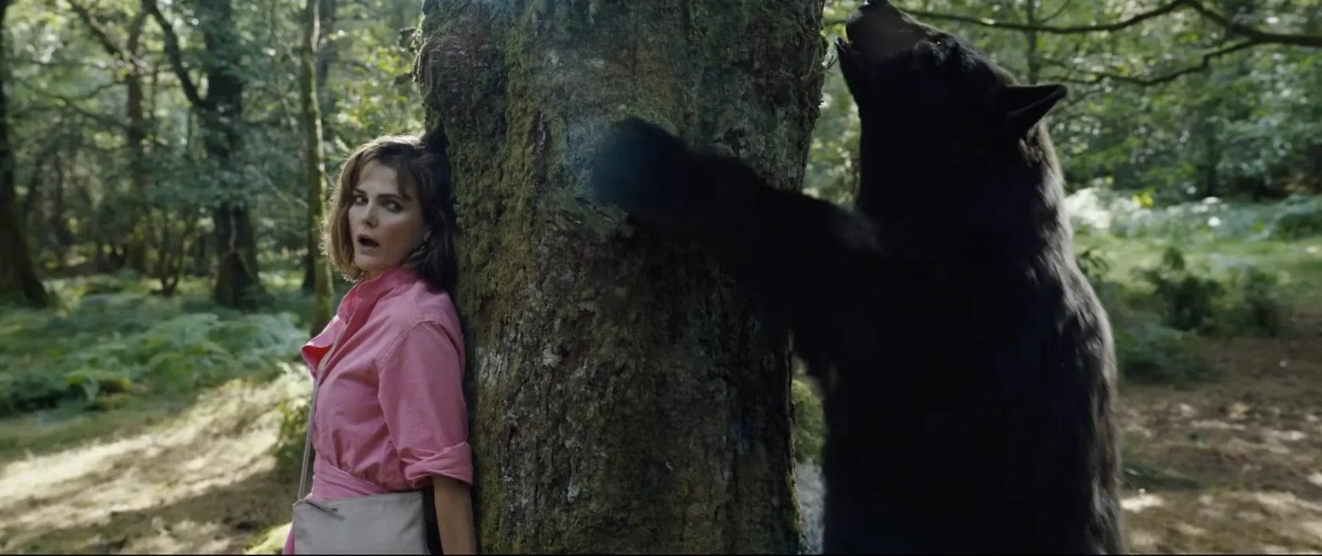 Cocaine Bear - Film Times & Trailer - Cromarty Cinema